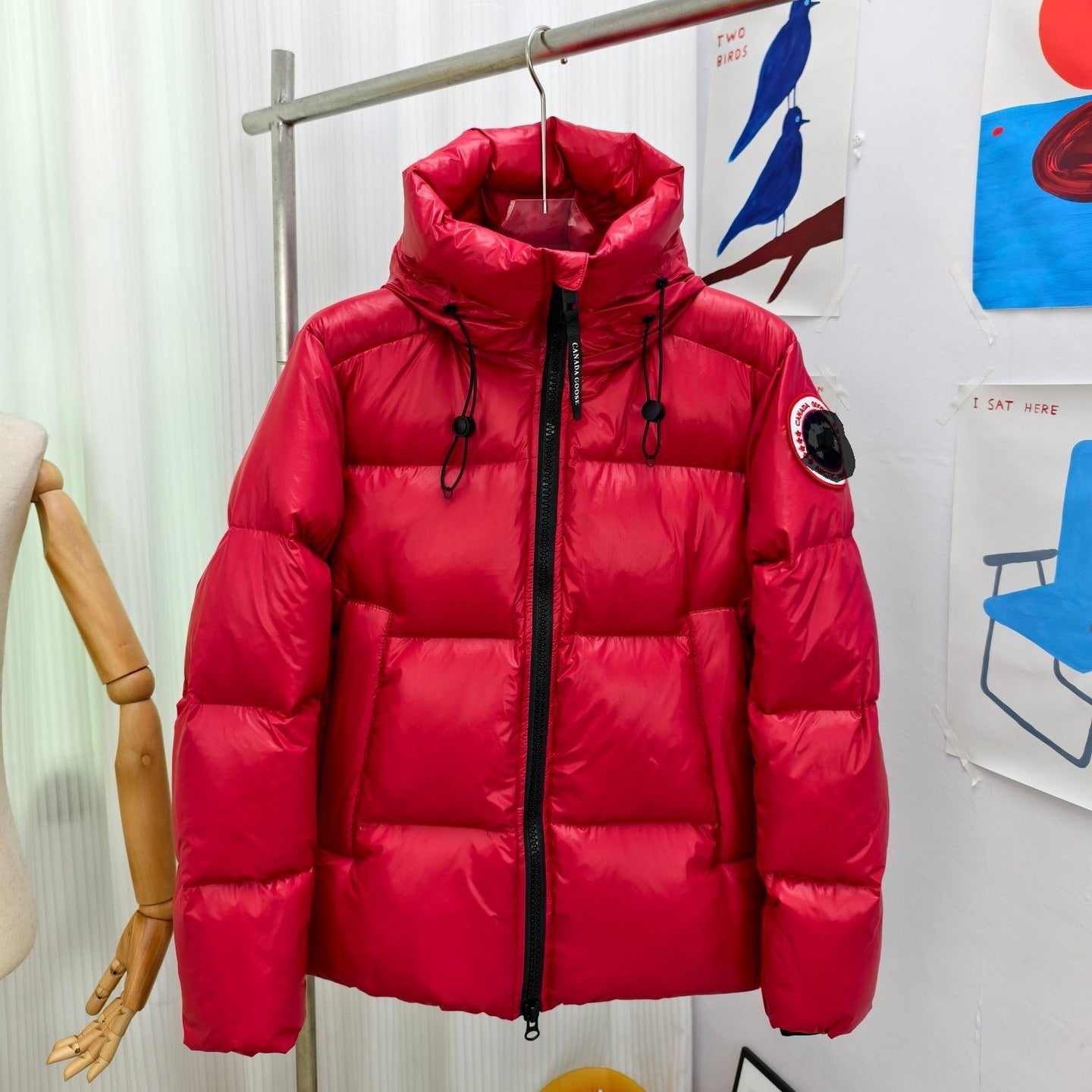 Big Goose Duck Down Hooded Down Jacket – GMabcd Shop